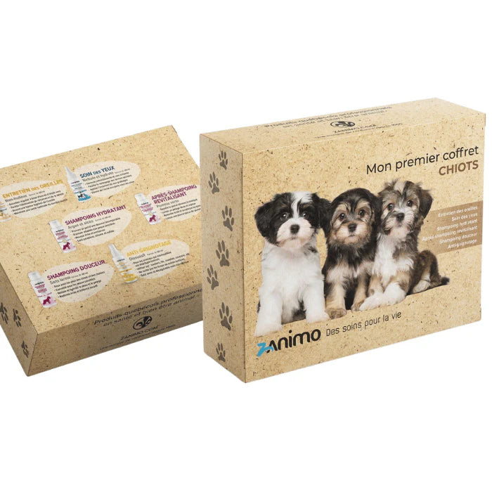 Zanimo - Mon Premier Coffret Chiot – Garderie le Chien d'Or
